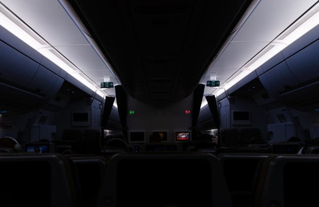 Service Dog Policies: Delta, United, American, and Southwest Compared
