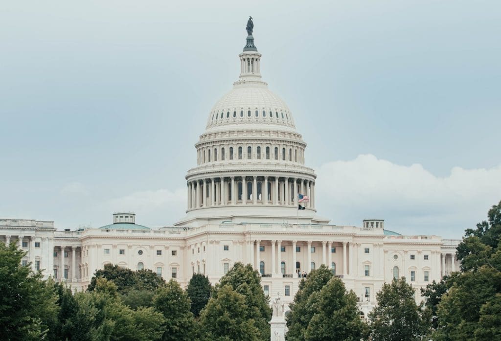 VA Service Dog Benefits: PAWS Act Coverage, Veterinary Care, and ...